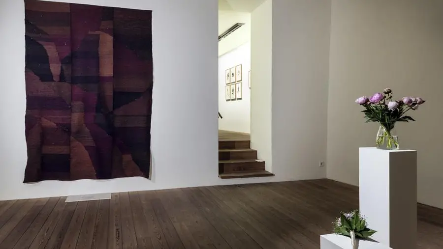 La linea insubrica: un confine geologico che racconta la storia dell’Europa